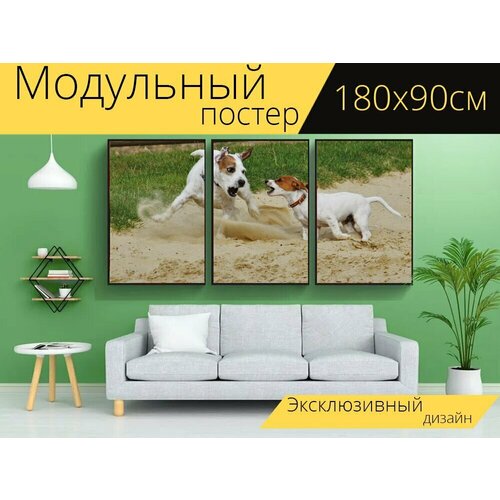 Модульный постер "Играющие собаки, джек рассел, терьер" 180 x 90 см. для интерьера
