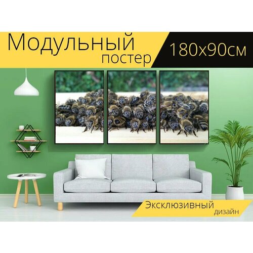 Модульный постер "Пчелы, пчеловод, медоносные пчелы" 180 x 90 см. для интерьера
