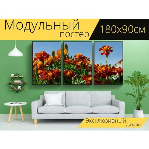 Модульный постер "Бархатцы, цветок, цвести" 180 x 90 см. для интерьера
