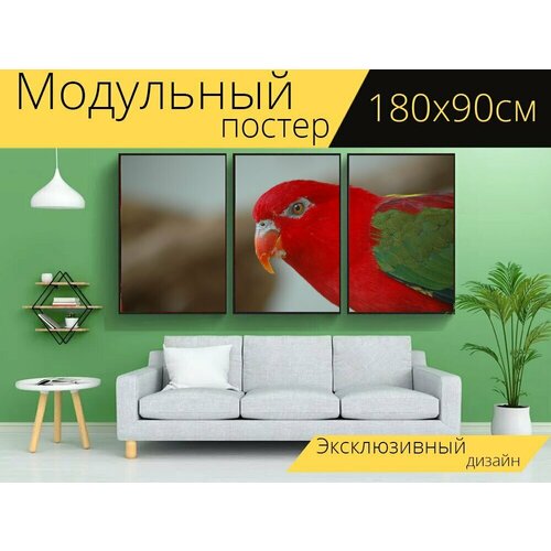 Модульный постер "Птица, красный, тропический" 180 x 90 см. для интерьера
