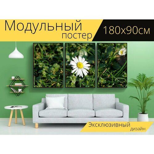 Модульный постер "Цветок, маргаритка, белый" 180 x 90 см. для интерьера