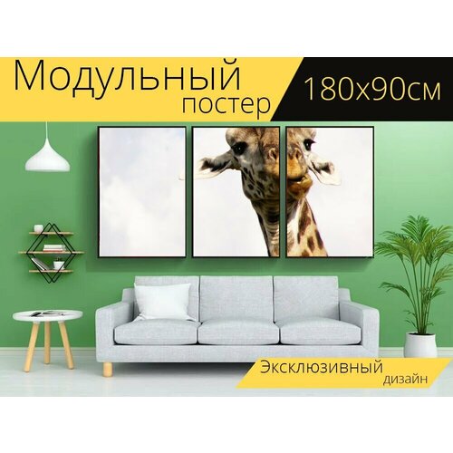 Модульный постер "Жирафа, африка, сафари" 180 x 90 см. для интерьера