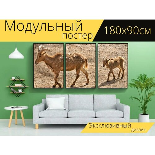 Модульный постер "Дикая коза, молодой, семья" 180 x 90 см. для интерьера