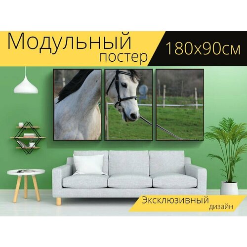 Модульный постер "Лошадь, лошади, животные" 180 x 90 см. для интерьера