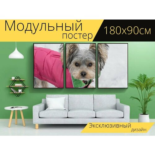 Модульный постер "Собака, маленькая собака, йоркширский терьер" 180 x 90 см. для интерьера