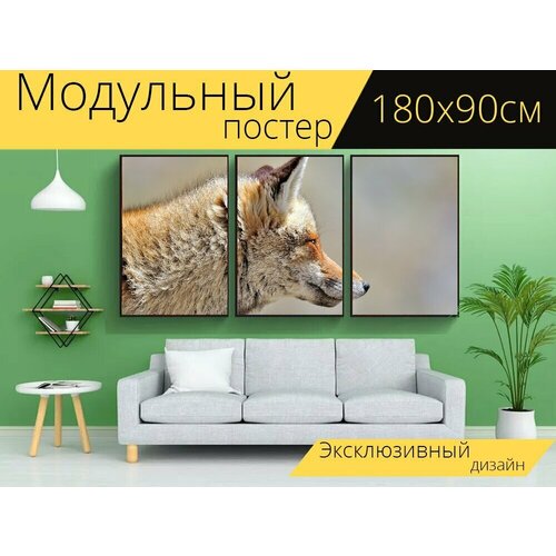 Модульный постер "Лиса, животные, дикие" 180 x 90 см. для интерьера