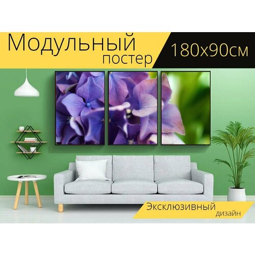 Модульный постер "Гортензия, цветок, цвести" 180 x 90 см. для интерьера