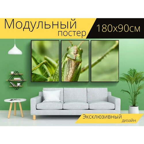 Модульный постер "Кузнечик, насекомое, щупальца" 180 x 90 см. для интерьера