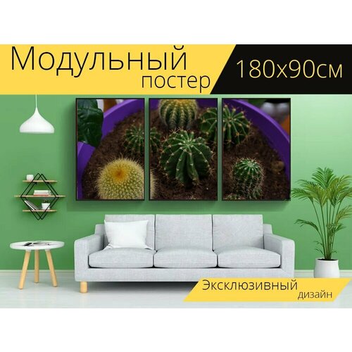 Модульный постер "Кактусы, горшок, кактус" 180 x 90 см. для интерьера