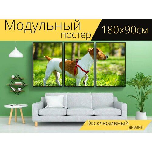 Модульный постер "Джек рассел, терьер, маленькая собака" 180 x 90 см. для интерьера