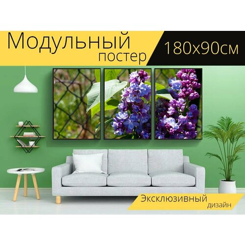 Модульный постер "Сирень, без, цветок" 180 x 90 см. для интерьера