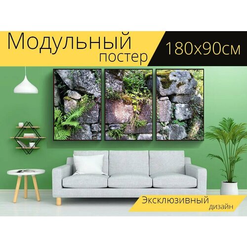 Модульный постер "Скалы, стена, горные растения" 180 x 90 см. для интерьера