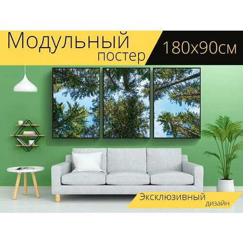Модульный постер "Лес, еловый лес, хвойный лес" 180 x 90 см. для интерьера