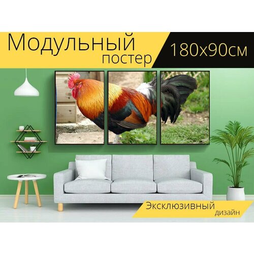 Модульный постер "Петух, птица, птицы" 180 x 90 см. для интерьера
