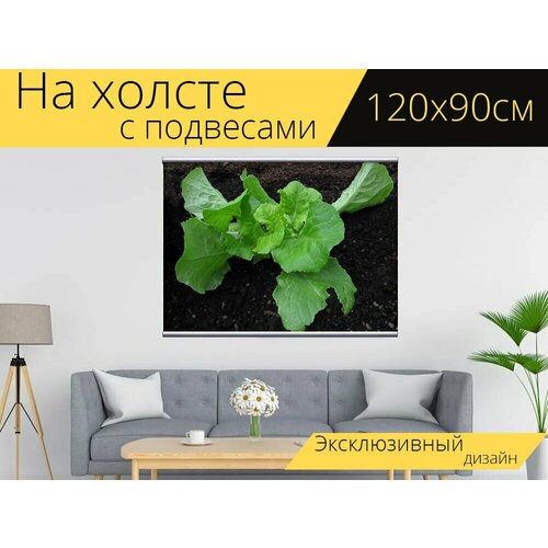 Картина на холсте "Салат, садовый салат, листья салата" с подвесами 120х90 см. для интерьера
