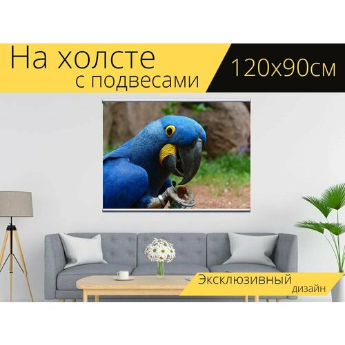 Картина на холсте "Синие ара, попугай, гиацинтовый ара" с подвесами 120х90 см. для интерьера