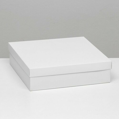 Коробка складная, крышка-дно, белая, 30 х 30 х 8 см, 5 штук