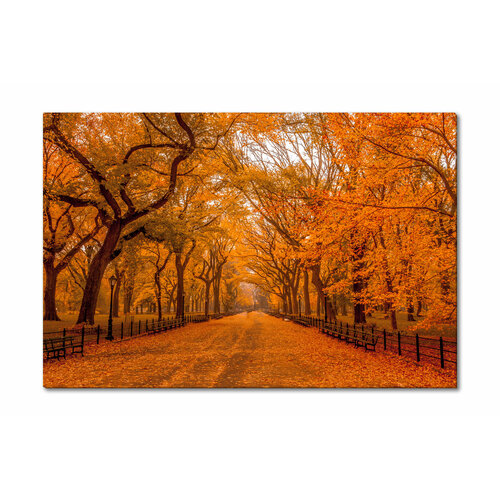 Картина для интерьера на холсте «Осенняя аллея» 26х40, холст натянут на подрамник
