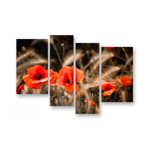 Модульная картина на холсте | Diva Kartina | Цветы. Маки и пшеница | 70X50 см