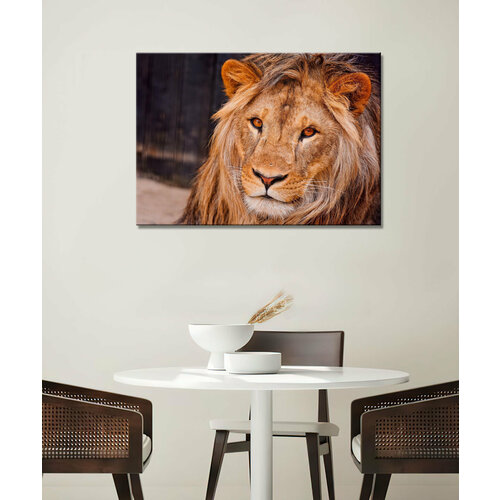 Картина - Лев, лев царь зверей, красивый лев, грива льва (9) 40х60