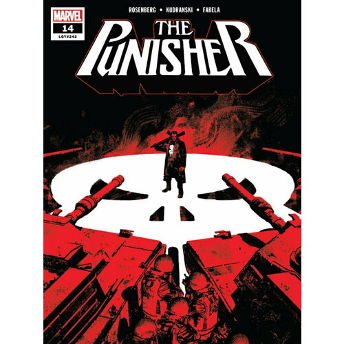 Плакат, постер на бумаге Punisher/Каратель/комиксы/мультфильмы. Размер 30 х 42 см