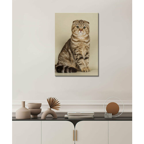 Картина - кошка, шотландская вислоухая кошка, домашняя кошка, ласковая кошка, кот (235) 60х80