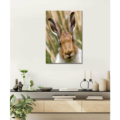 Картина - Заяц, зайцы, зайчонок, зайка, ушастый заяц, пушистый заяц, морда зайца, шустрый заяц (29) 60х80
