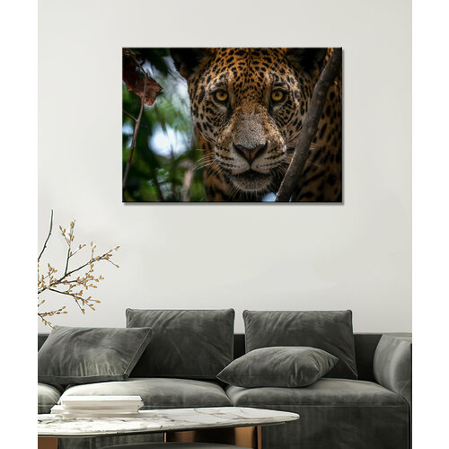Картина/Ягур/Ягуар в джунглях/Ягуар на дереве/Черный ягуар/ - Ягуар (12) 30х40