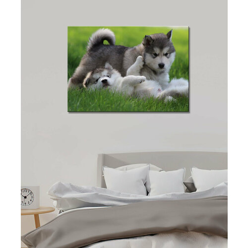 Картина - Маламут, аляскинский маламут, маламут собака, маламут порода, маламут щенок, маламут щенята (2) 60х80