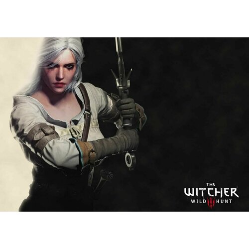 Плакат, постер на холсте Ведьмак 3 (The Witcher 3 Wild Hunt). Размер 21 на 30 см