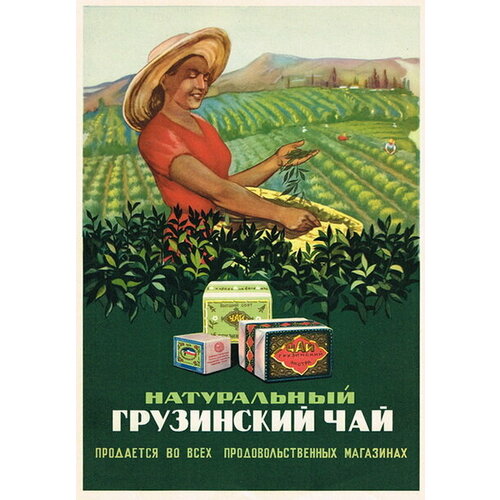 Советский плакат, постер на бумаге Реклама грузинского чая. Размер 21 х 30 см
