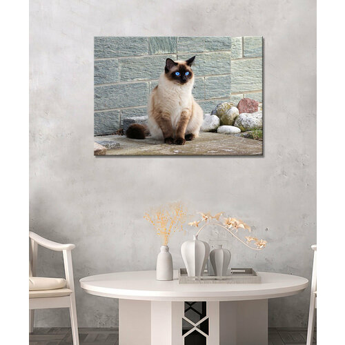 Картина - кошка, сиамская кошка, домашняя кошка, ласковая кошка, короткошерстная кошка, кот (94) 60х80