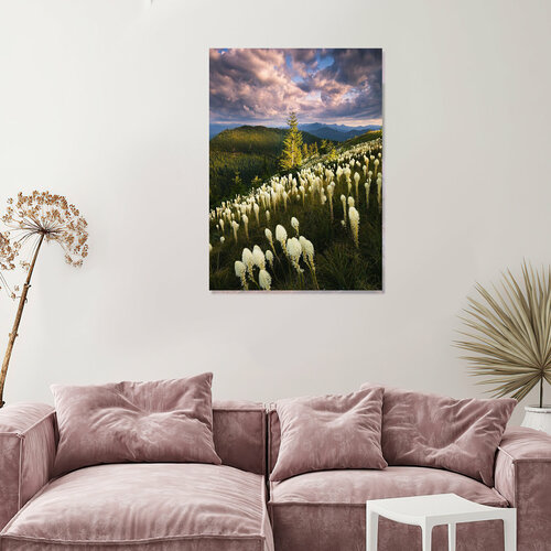Интерьерная картина на холсте - белые луговые цветы 30х40