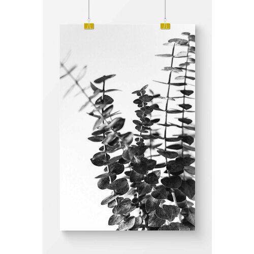 Постер для интерьера Postermarkt, 60х90 см в тубусе, постер Черно-белый #38