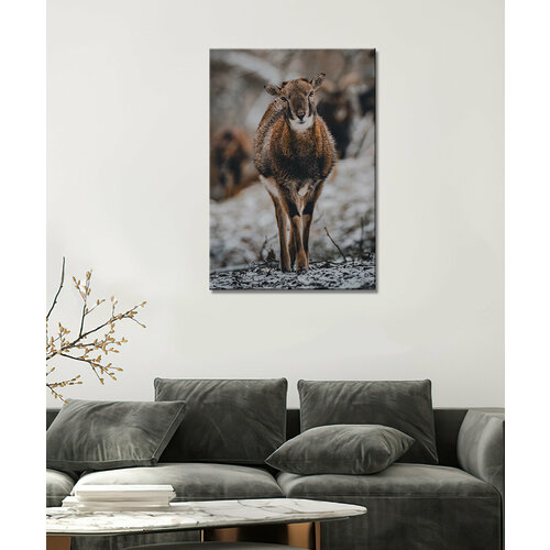 Картина - Коза, козел, безрогая коза, домашняя коза (13) 40х60