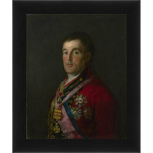 Плакат, постер на холсте The Duke of Wellington. Франсиско Гойя. Размер 60 х 84 см