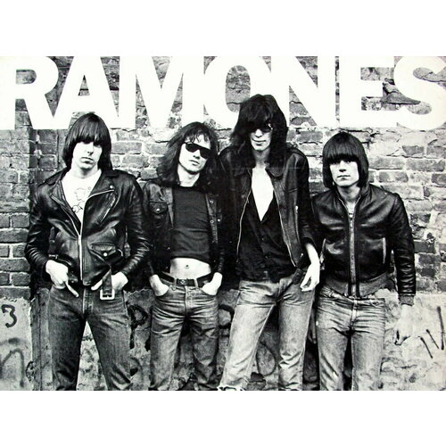 Плакат, постер на холсте Ramones/Рамоунз/музыкальные/поп исполнитель/артист/поп-звезда/группа. Размер 42 х 60 см