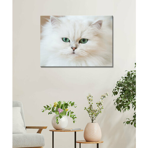 Картина - кошка, персидская кошка, домашняя кошка, ласковая кошка, кот (307) 20х30