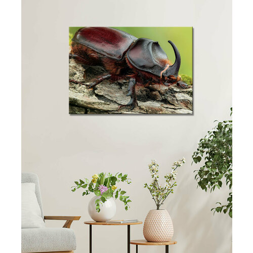 Картина - жук-носорог, жук, массивный жук, крупный жук, природа, макро (7) 60х80