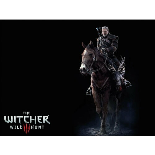 Плакат, постер на бумаге Witcher 3/Ведьмак 3/игровые/игра/компьютерные герои персонажи. Размер 42 х 60 см