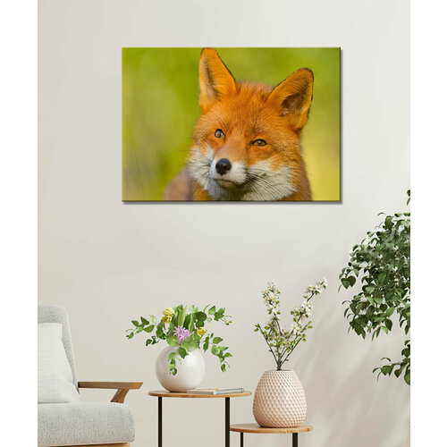 Картина - Лиса, лис, лисы, лисичка, лисенок, лисица, рыжая лиса, лиса в лесу, мордочка лисы (63) 50х70