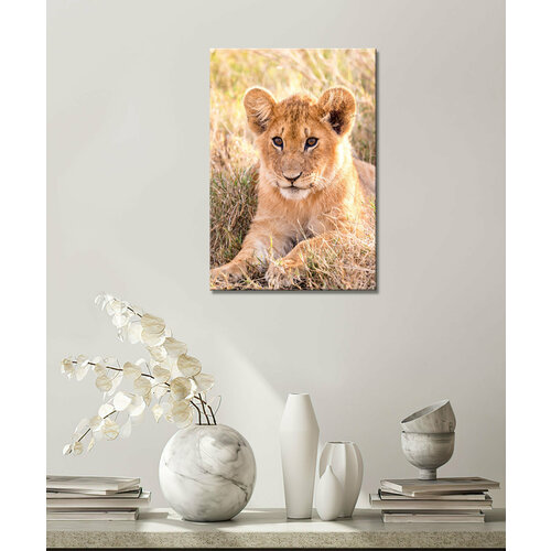 Картина - Лев, львенок, маленький лев, красивый львенок, милый львенок (54) 60х80