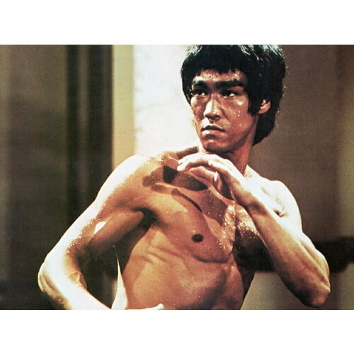 Плакат, постер на холсте Bruce Lee/Брюс Ли/спорт. Размер 30 х 42 см