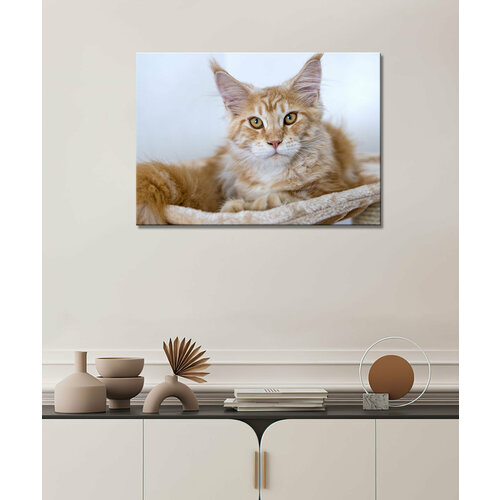 Картина - кошка, мейн-кун, домашняя кошка, ласковая кошка, кот (283) 60х80