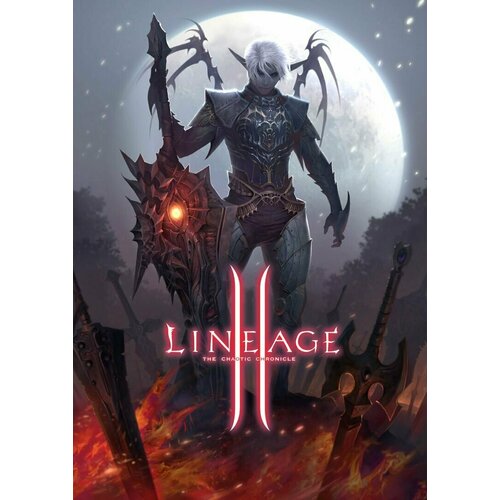 Плакат, постер на холсте Lineage 2/Линейдж 2. Размер 30 на 42 см