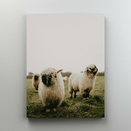 Интерьерная картина на холсте "Пастбище овец - природа", размер 22x30 см