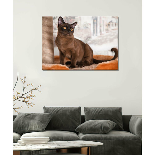 Картина - кошка, бурманская кошка, кот, тёмная кошка, ласковая кошка (41) 40х60