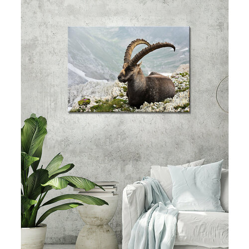 Картина -Козел, коза, дикий козел, рогатый козел, горный козел (13) 20х30