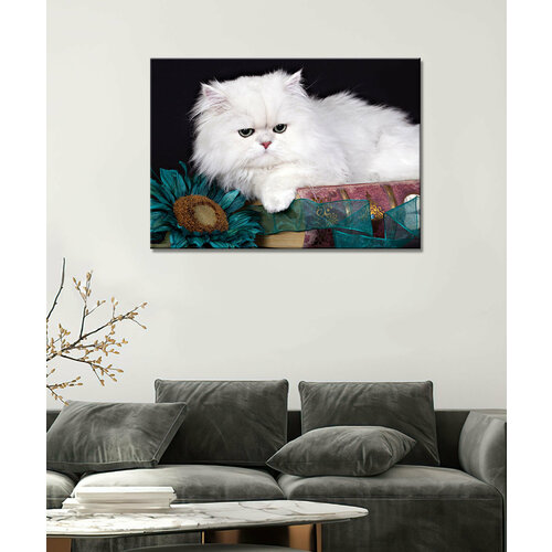 Картина - кошка, персидская кошка, домашняя кошка, ласковая кошка, кот (298) 30х40