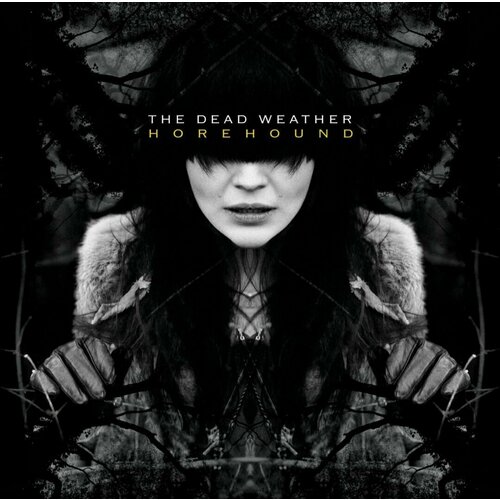 Плакат, постер на бумаге The Dead Weather/Мёртвая погода. Размер 30 х 42 см